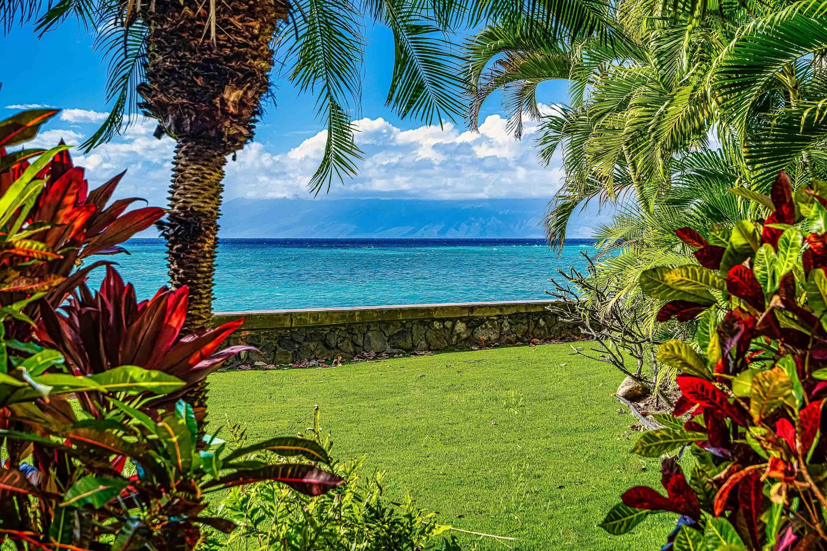 Wonderful Window | Timeless Vibrant Hawaiian View – Maui Fine Art ...